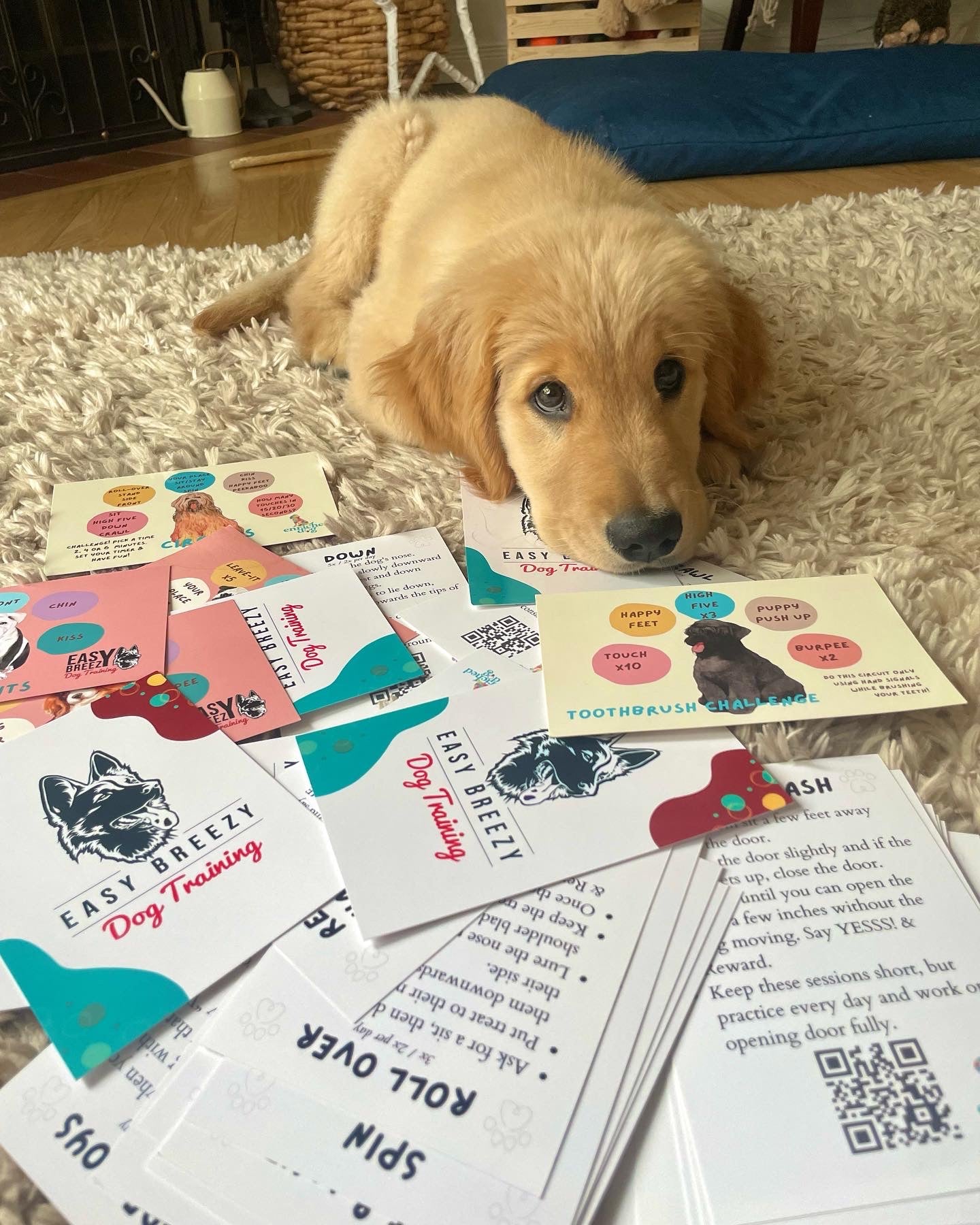 The Essential Guide to Setting a Schedule for Your Dog – Easy Breezy ...
